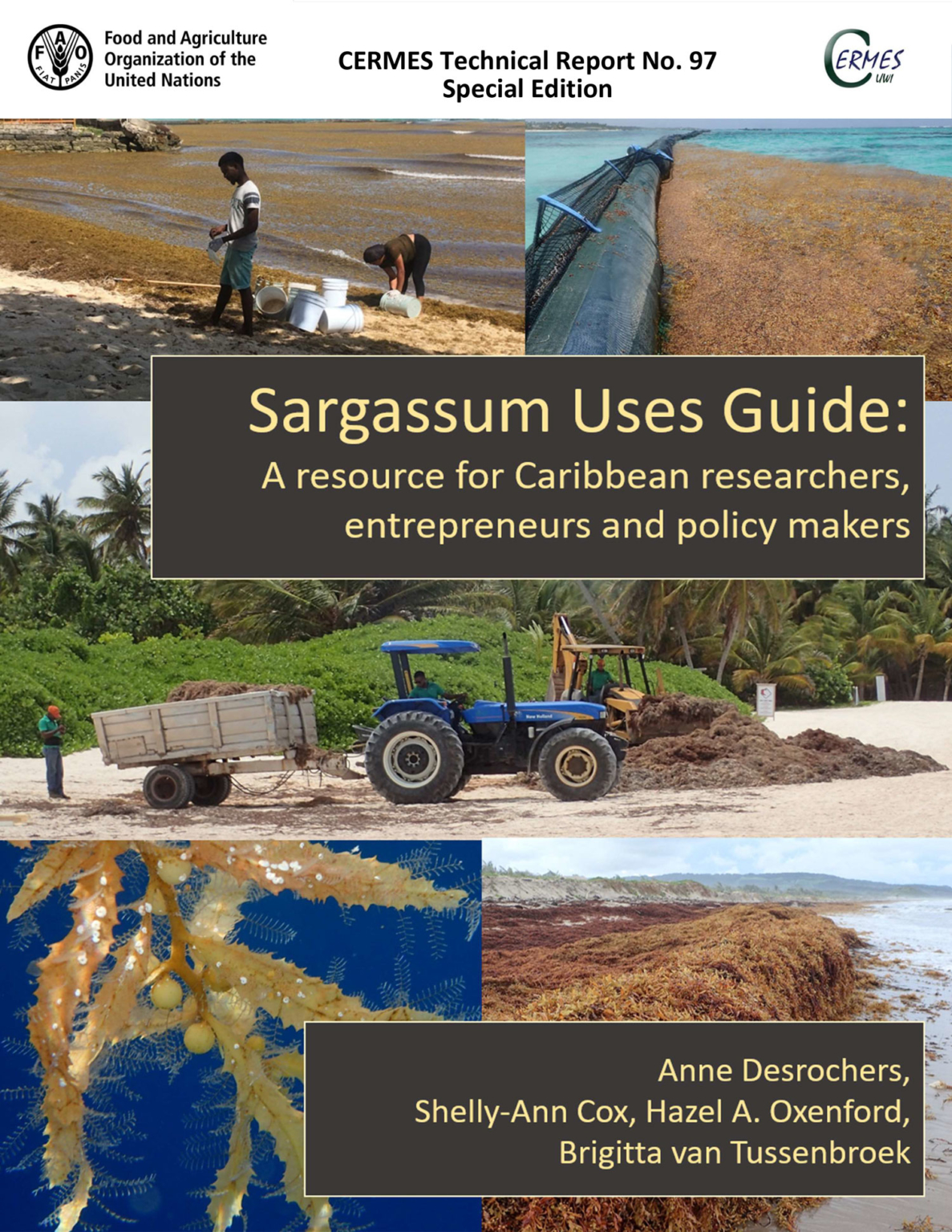 Sargassum Uses Guide now available - SARGASSUM INFORMATION HUB