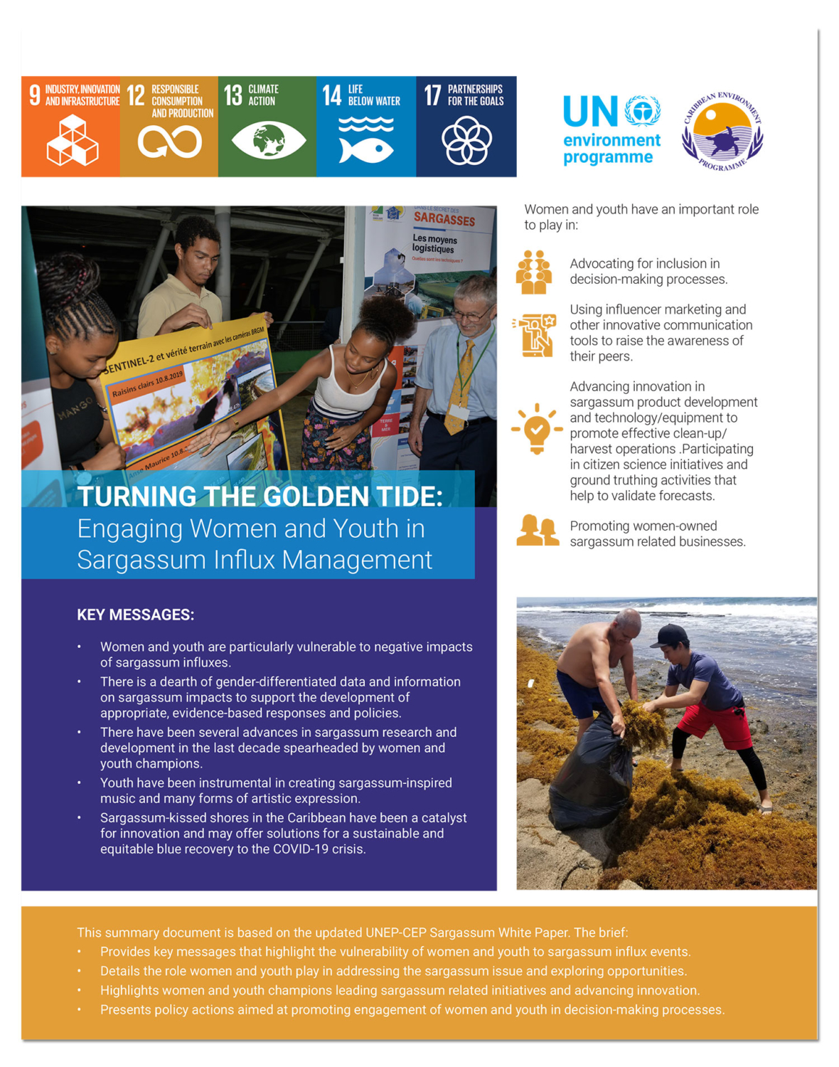 UN Environment Programme White Paper and Briefs Available! - SARGASSUM ...