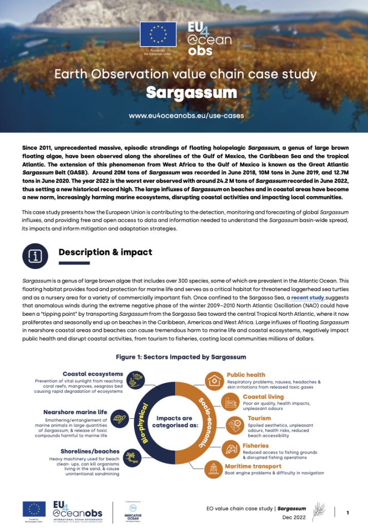 Earth observation value chain case study on Sargassum - SARGASSUM ...