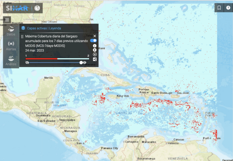 Monitoring - SARGASSUM INFORMATION HUB